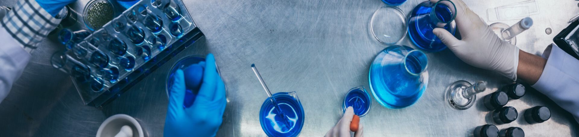 Lisam Systems Deutschland